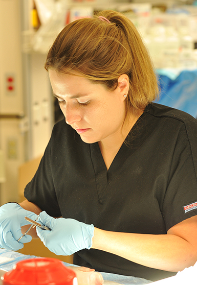 Graduate Admissions | Towson University