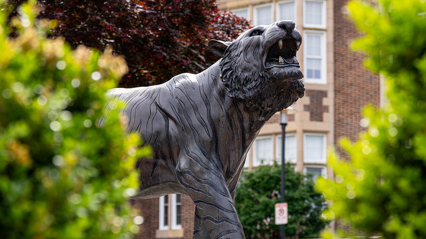 Mid-Atlantic CIO Forum announces 2025 scholarship awardees | Towson University