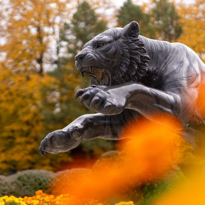 Towson University | Newsletter