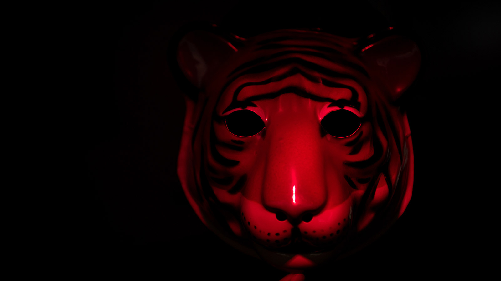 Spooky survival course, climate town hall, more things to do at TU | Towson University