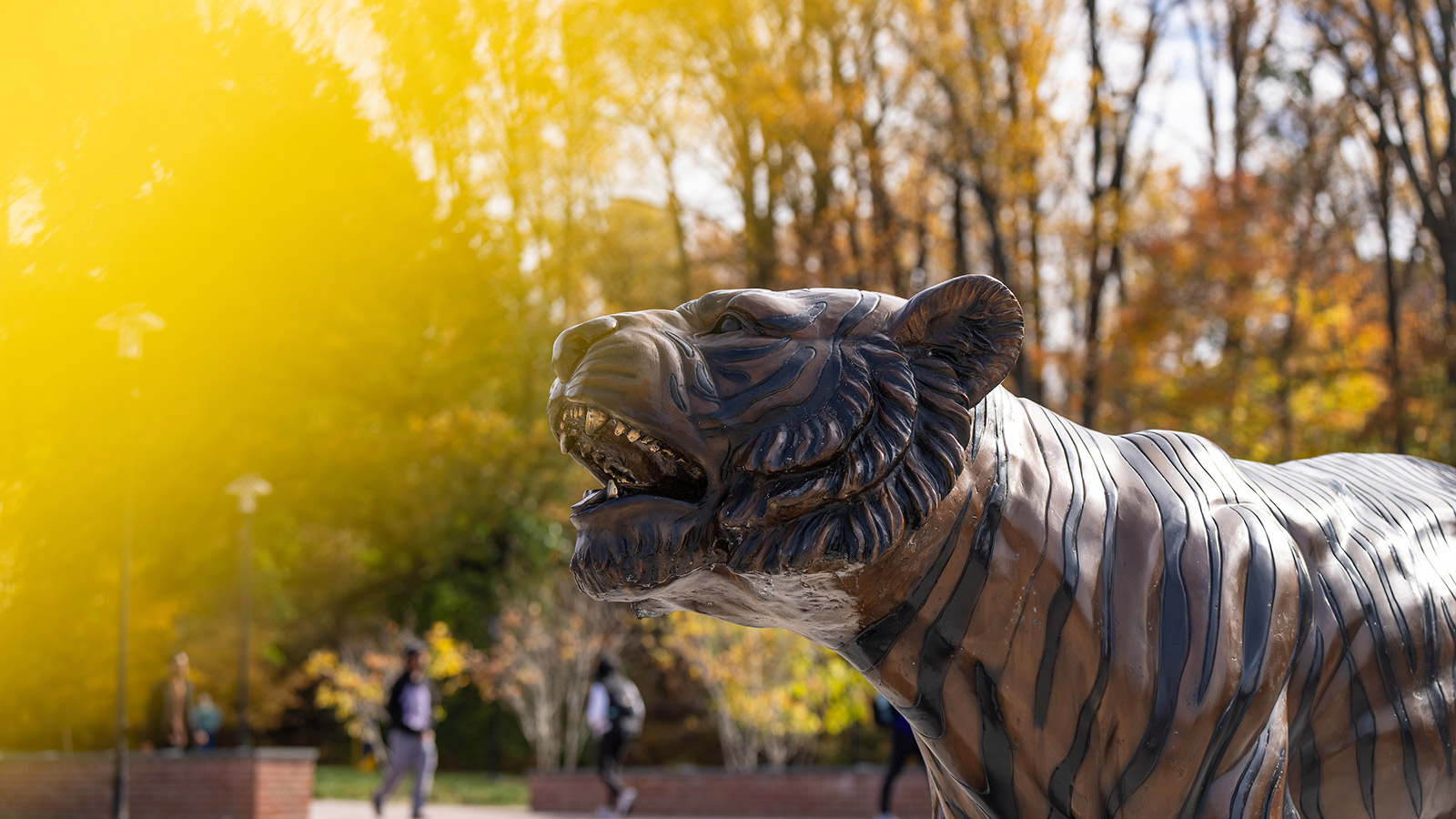 Is hate speech protected? | Towson University